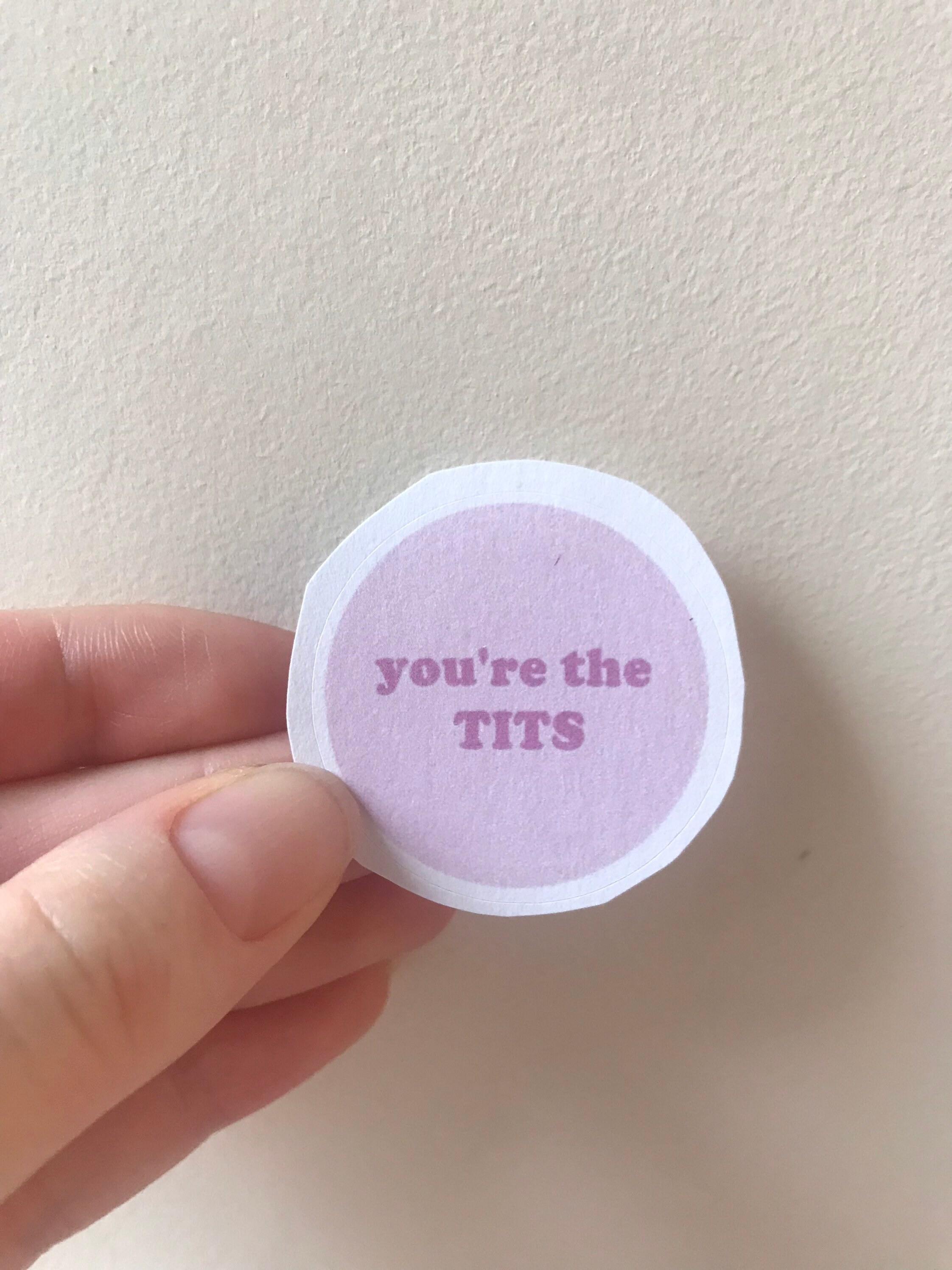 Boob Stickers Cheeky Pun New Boobs Surgery Stickers Empowerment Self ...