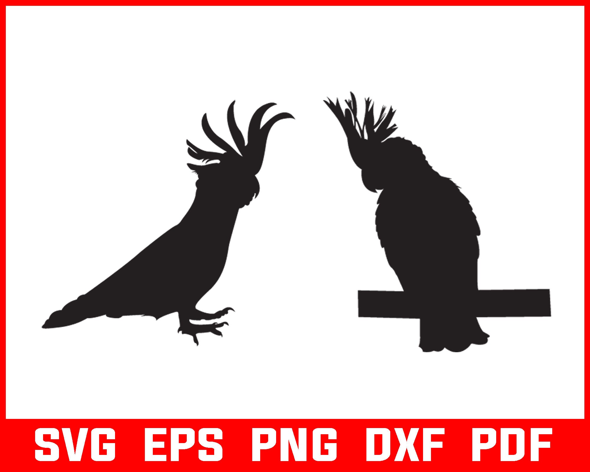 Cockatoos Svg Bundle Cockatoos Svg Bird Svg Clipart Png Dxf - Etsy ...