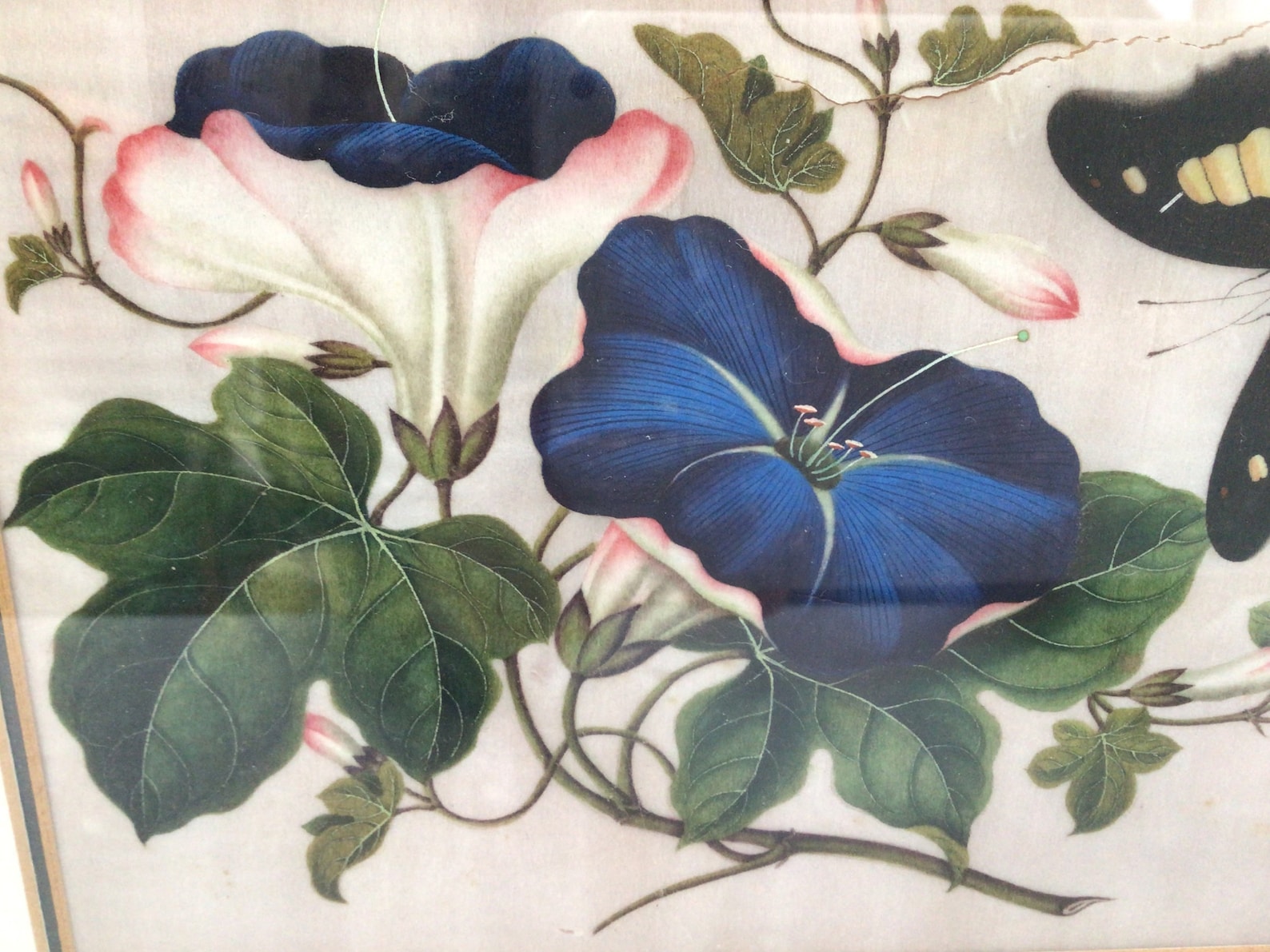 Antique Canton Chinese Pith Paper Painting Rice Paper - Etsy UK