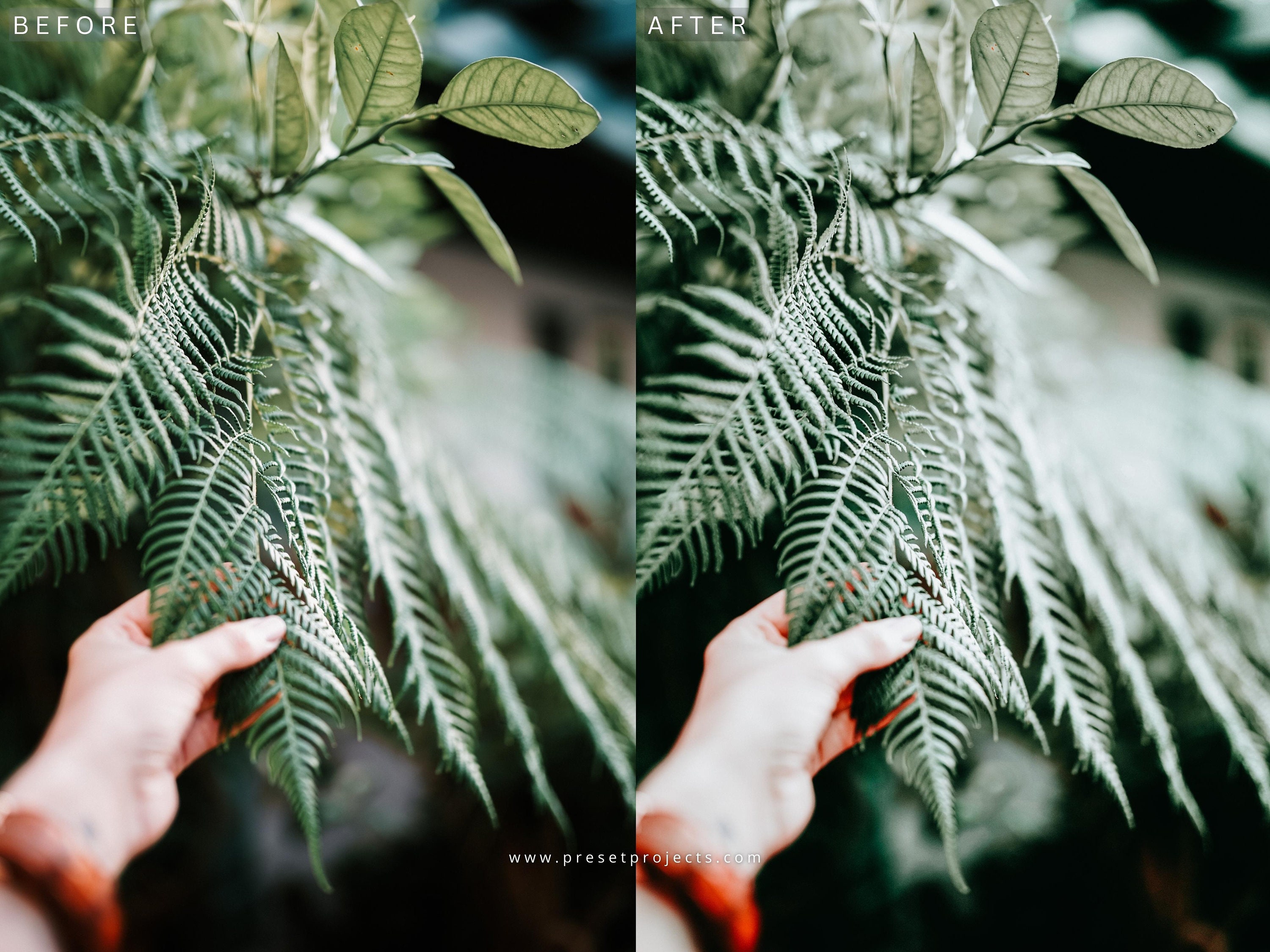 20 Sage Lightroom Mobile & Desktop Presets, Soft Green Presets, Earthy Tones Presets, Lifestyle ...