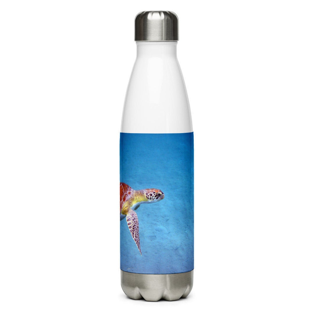 The Turtle Stainless Steel Water Bottle - Etsy