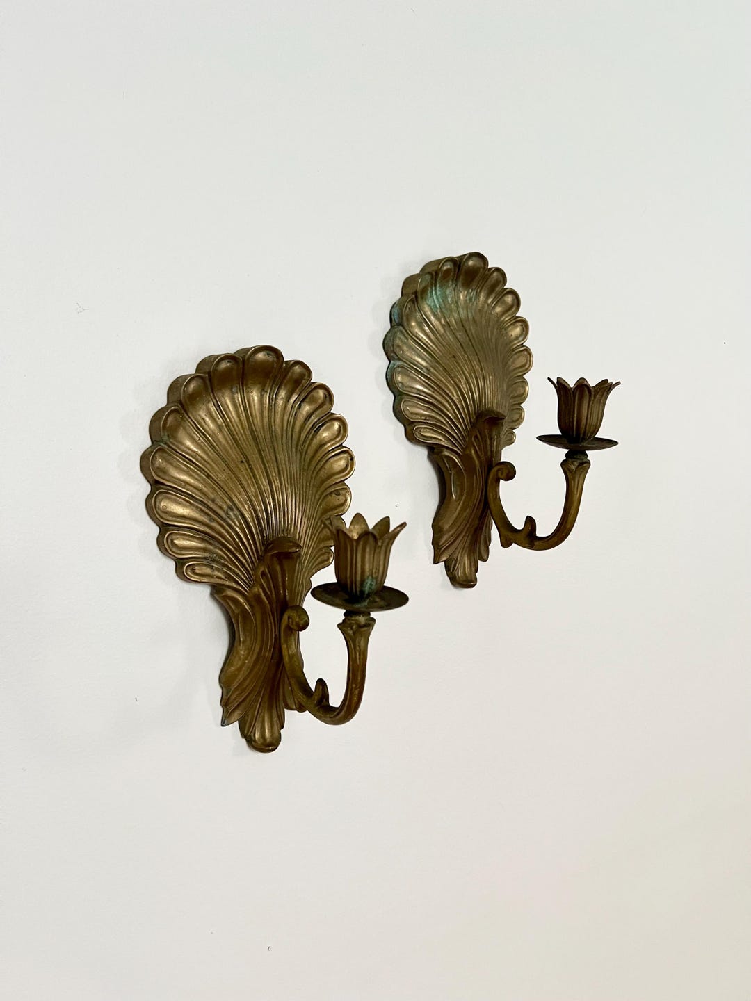 Vintage Pair of Andrea by Sadek Shell and Tulip Brass Wall Sconces - Etsy