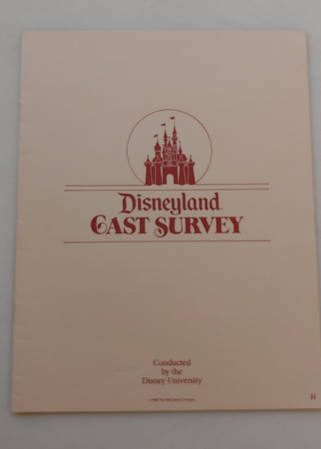 RARE Official Disneyland CAST SURVEY From 1986 - Etsy