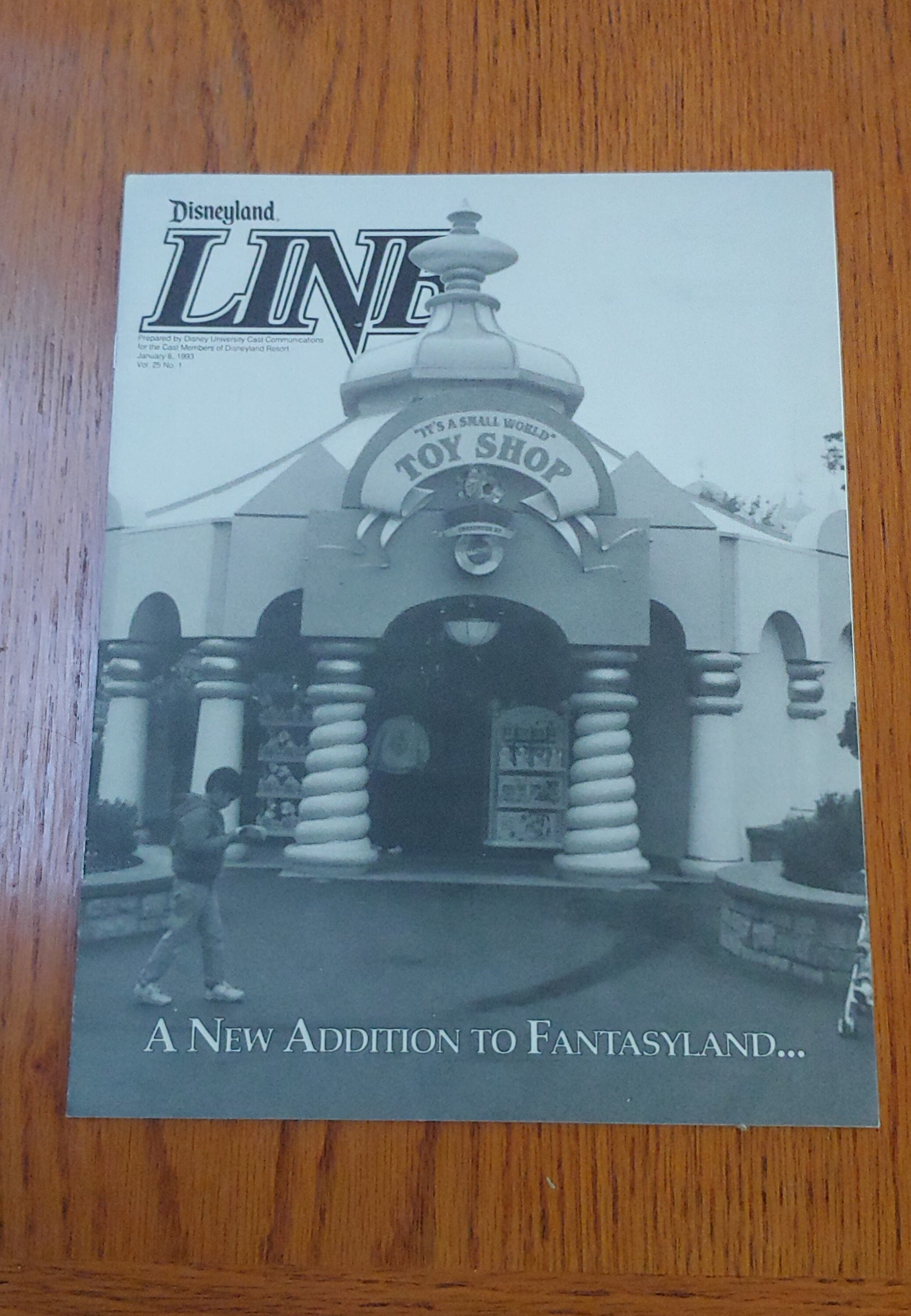 CAST EXCLUSIVE Disneyland Lines From the 1990s - Etsy