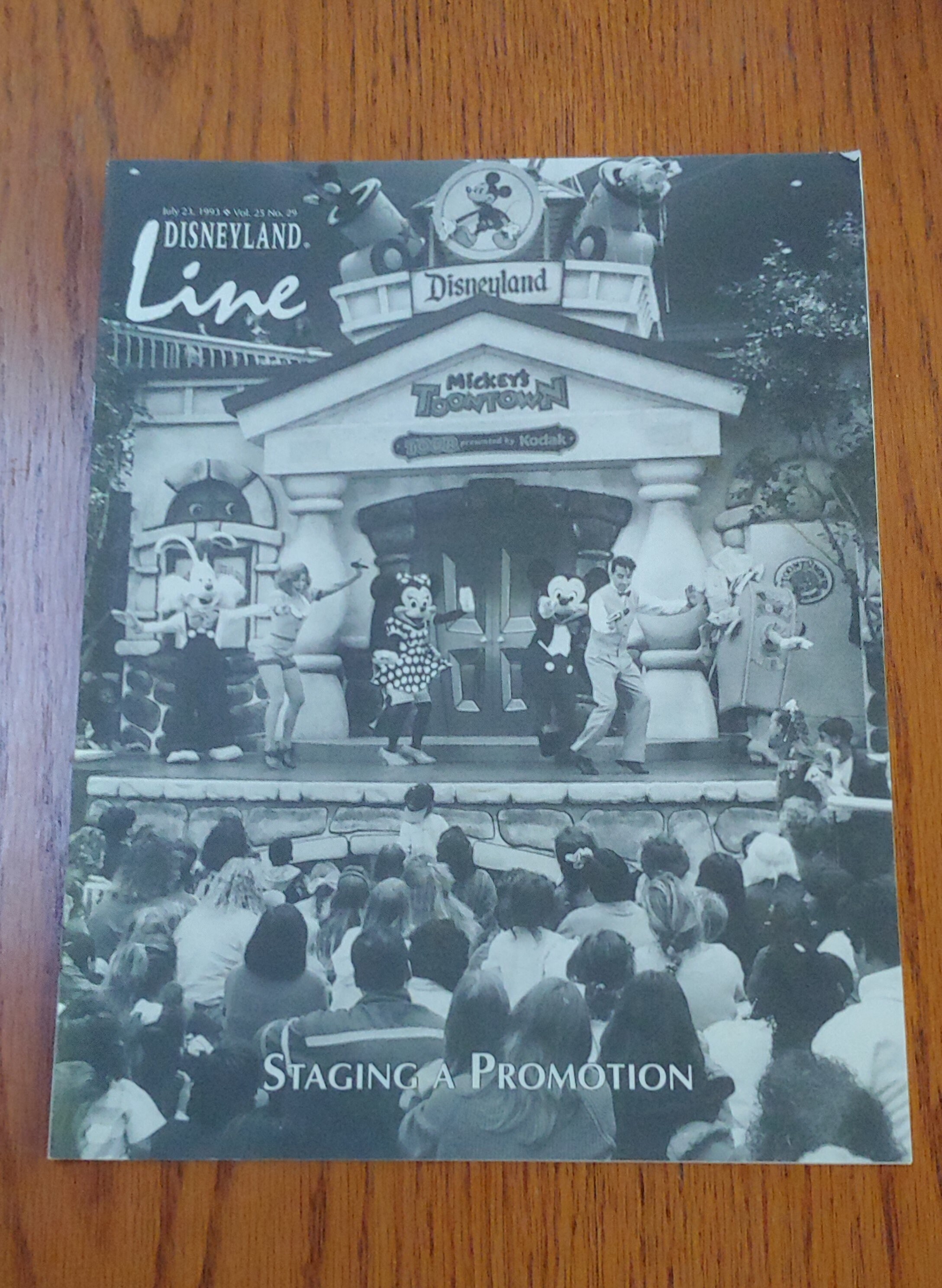 CAST EXCLUSIVE Disneyland Lines From the 1990s - Etsy