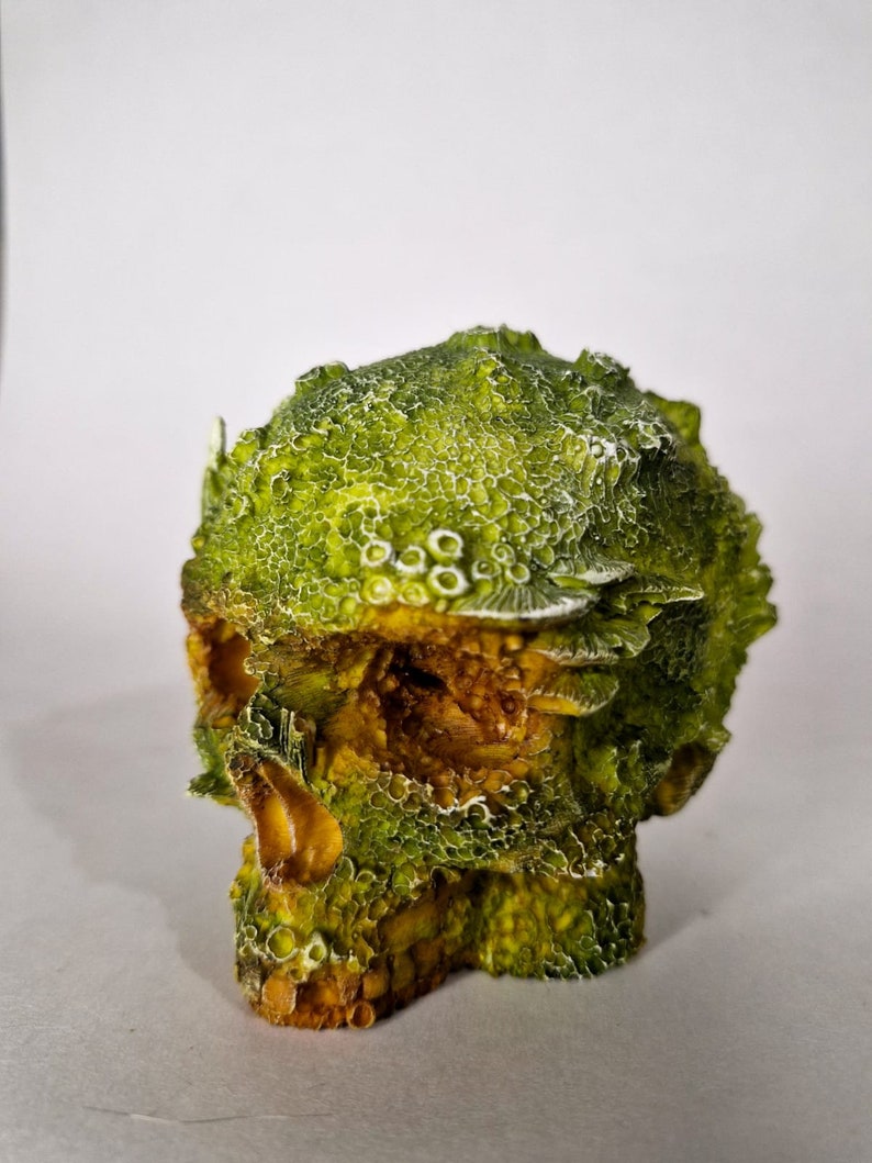 Skull, Skull Bust, Skull Statue, Human Skull, Coral Decore, Decorative ...