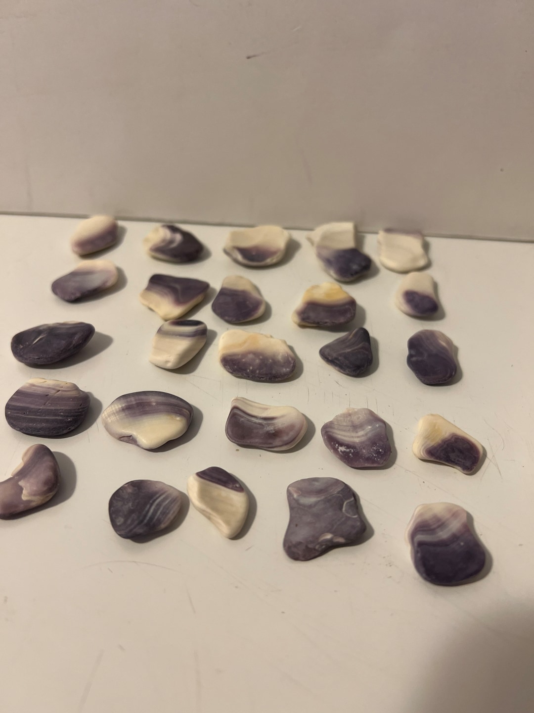 Quahog Clam Shell Wampum Small 25 Pieces 1/22 Naturally Ocean Tumbled ...