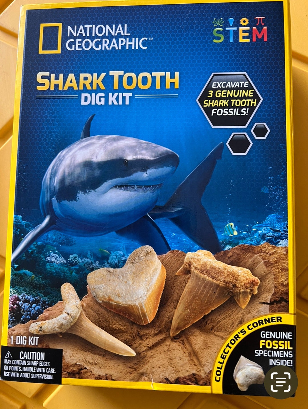 National Geographic Stem Shark Tooth Dig Kit 3 Genuine Shark Tooth ...