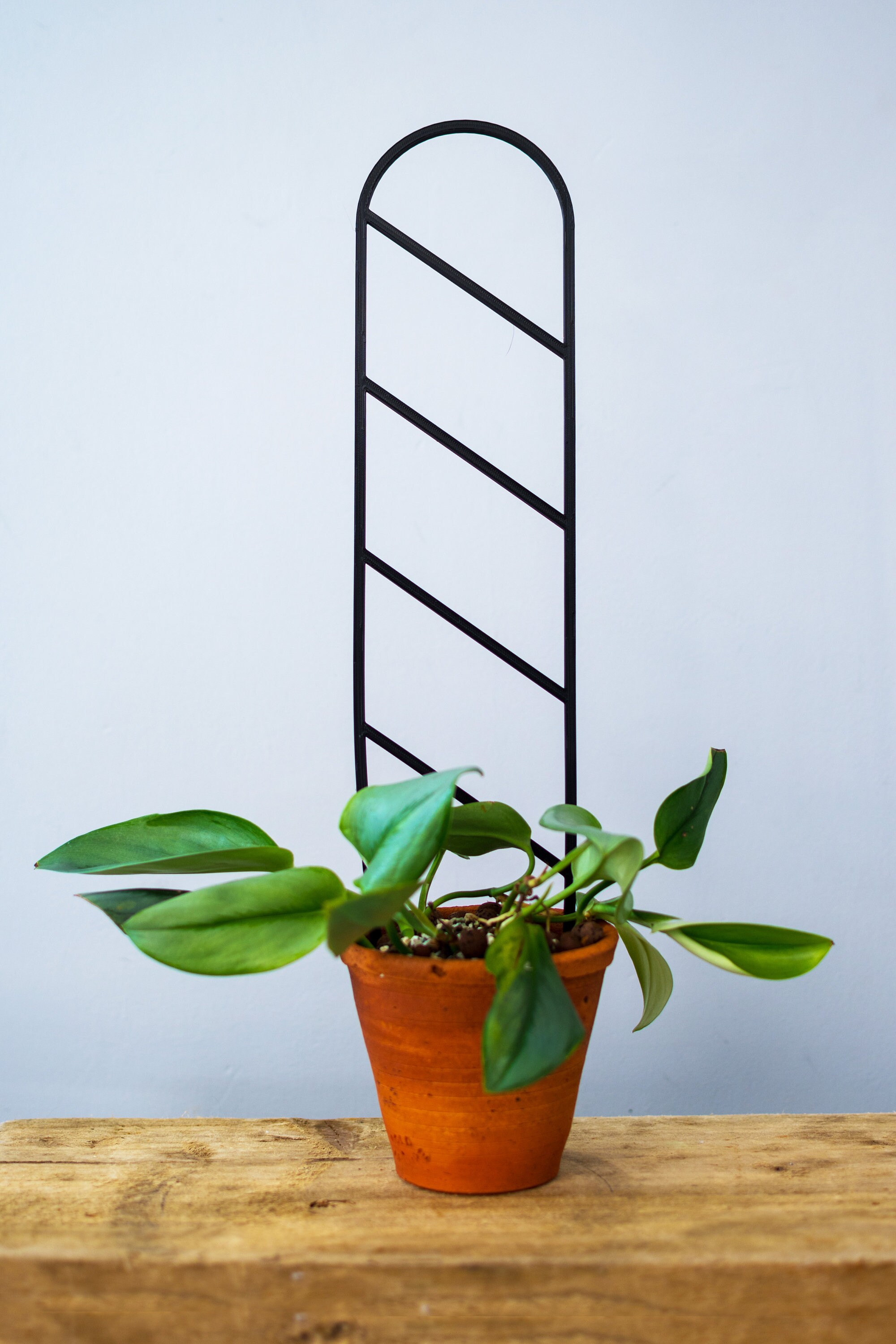Plant Trellis Plant Support Arch Ladder Plant Climbers - Etsy UK