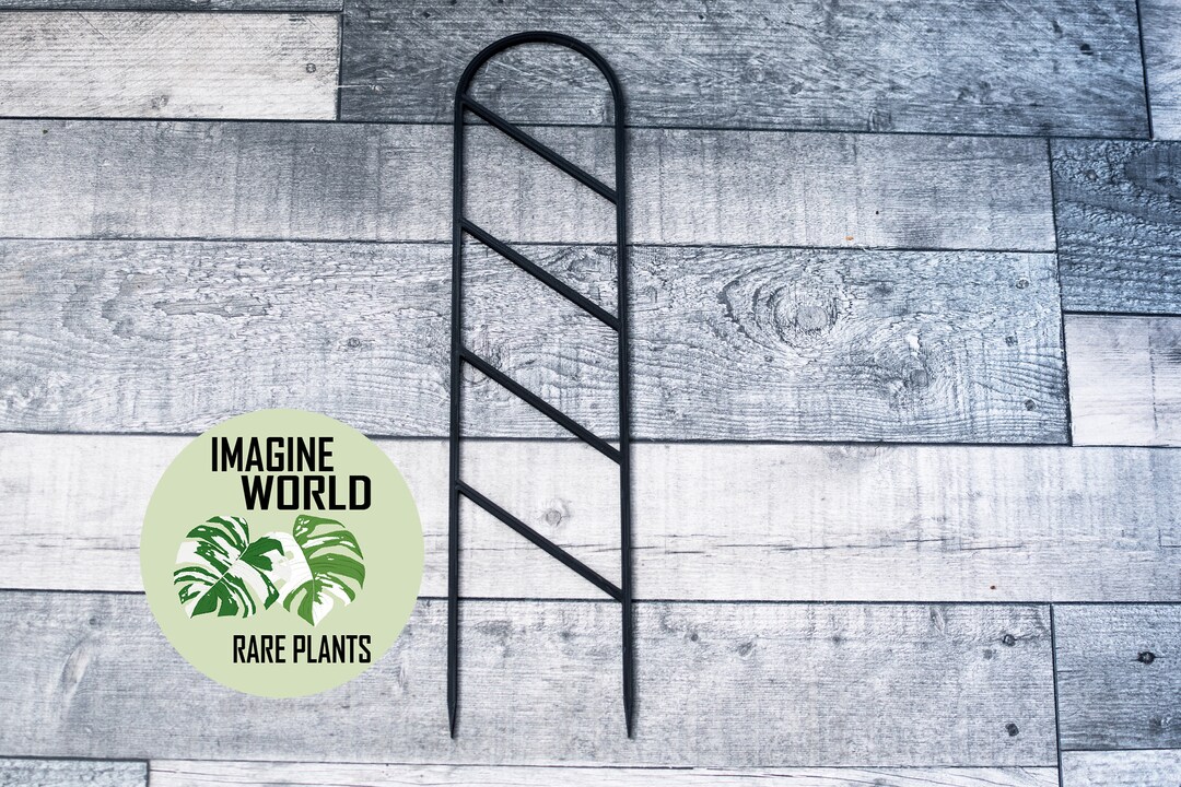 Plant Trellis Plant Support Arch Ladder Plant Climbers Accessories 3d ...