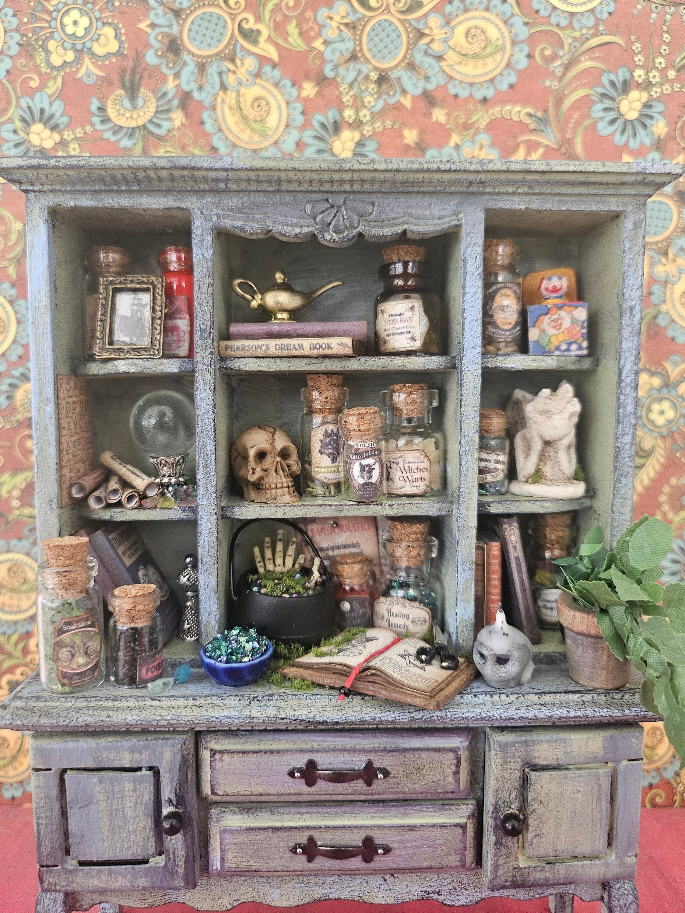 Witch Apothecary Curiosities Cabinet - Etsy