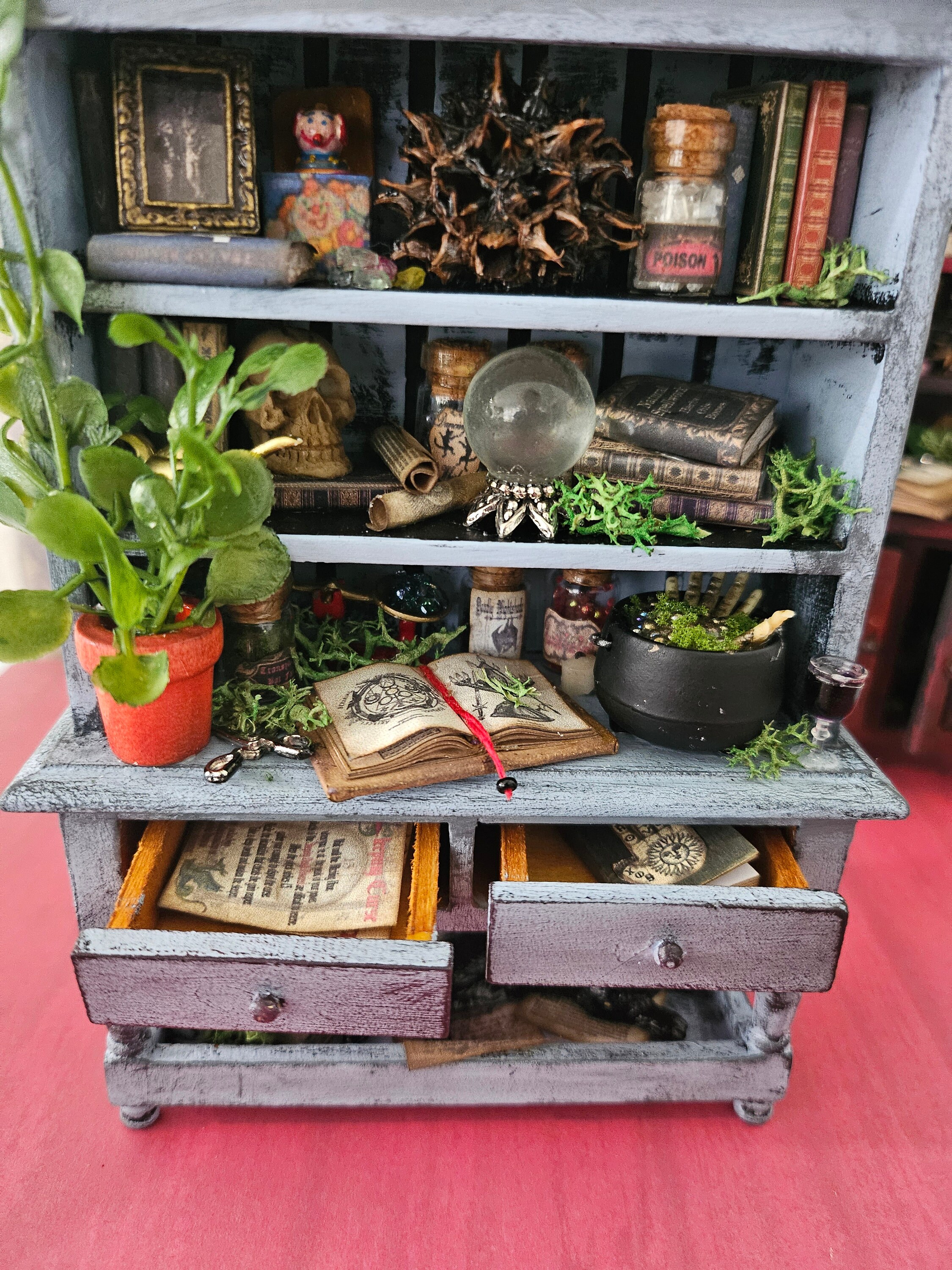 Witch Apothecary Curiosities Cabinet - Etsy