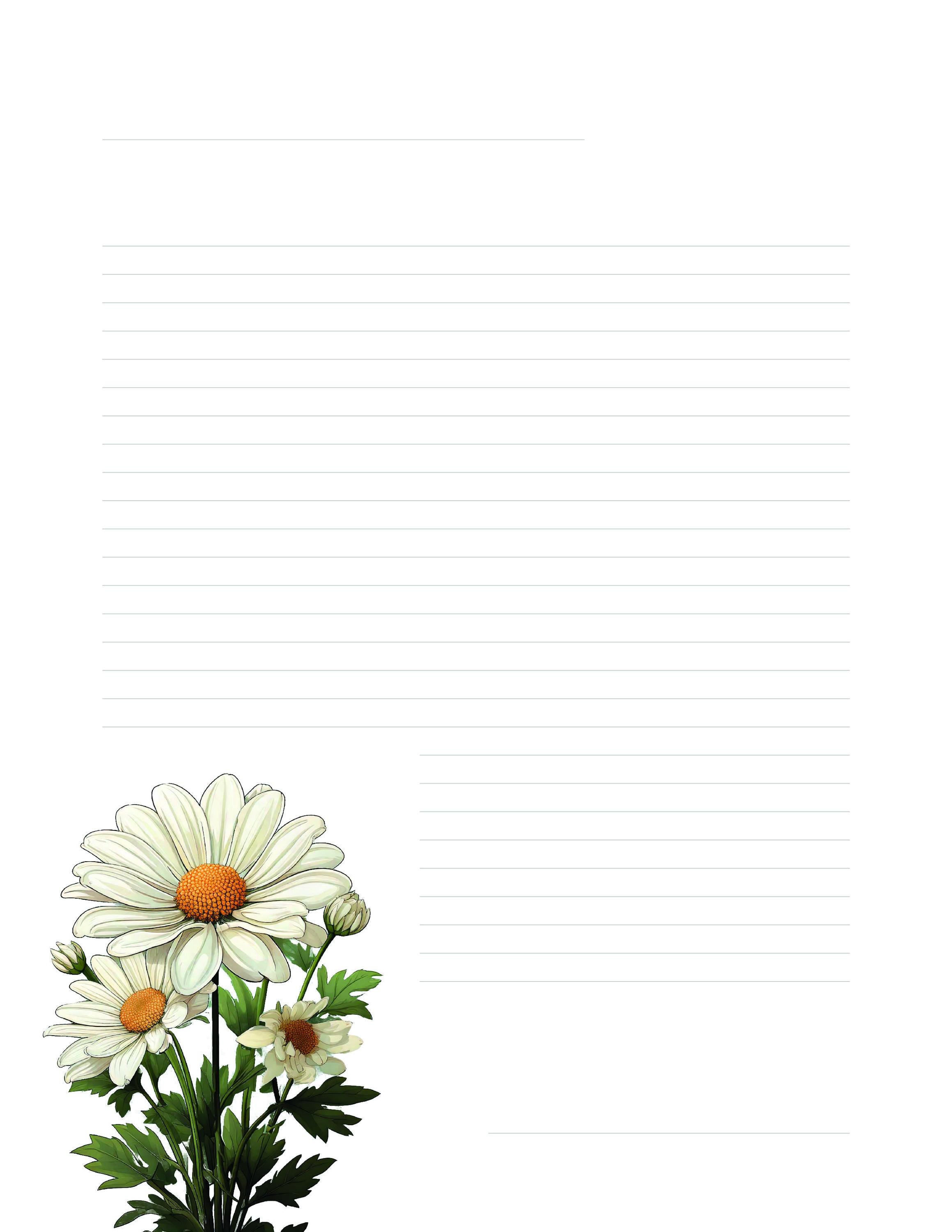 10 Illustrated Letter Templates - Printable PDF, Add a Creative Touch ...