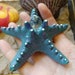 Handpainted Armored Starfish, Blue Starfish, Decorative Starfish ...
