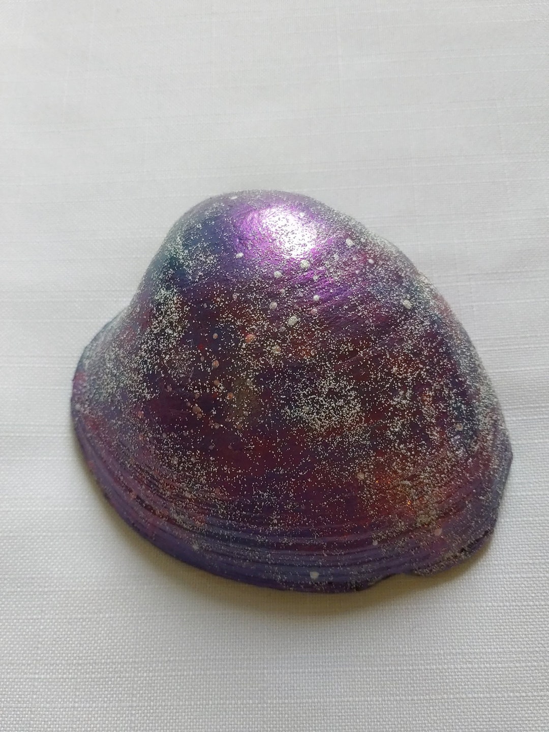 Handpainted Genuine Dosinia Seashell, Galaxy Inspired Seashell, Starry ...