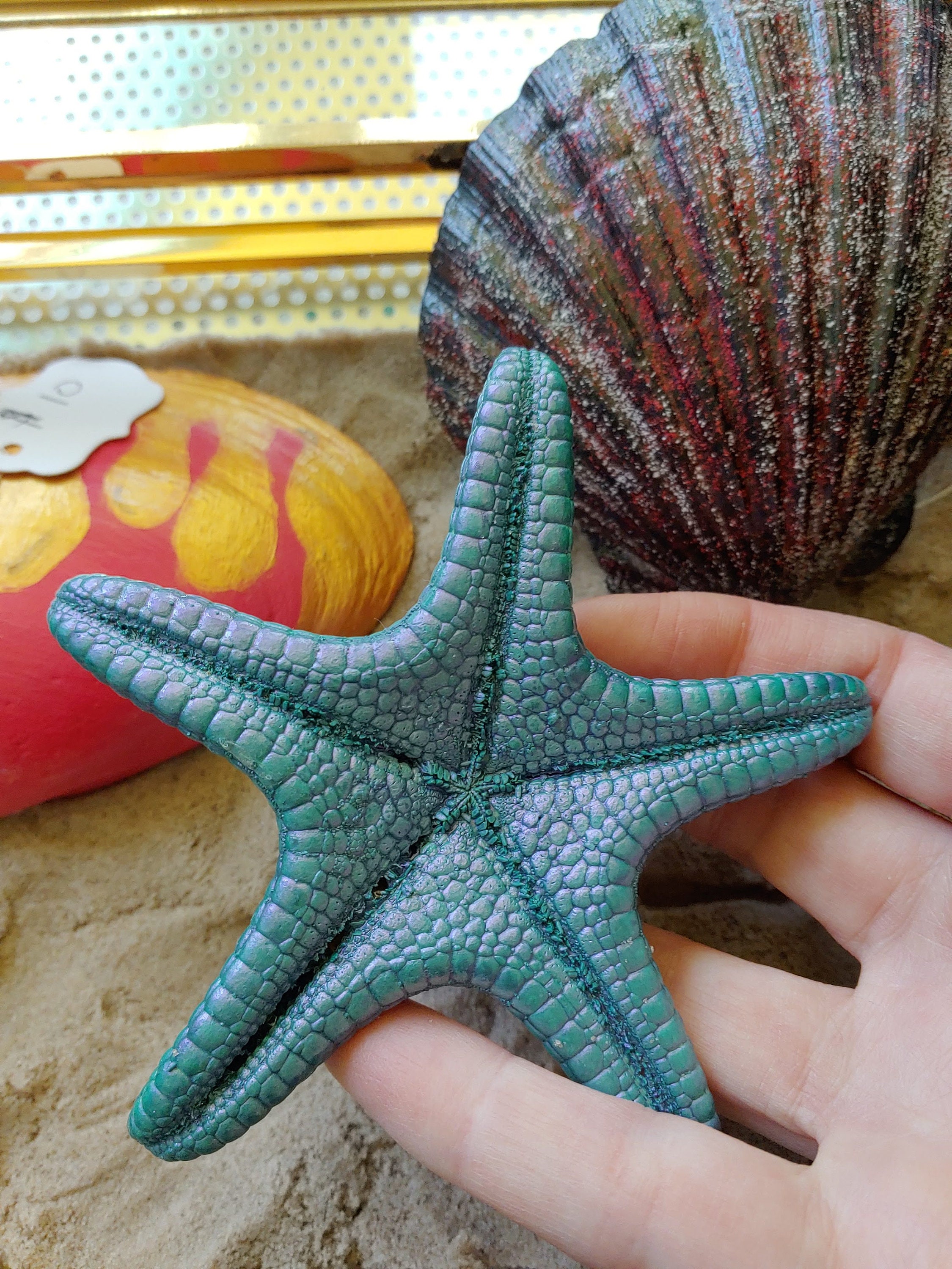 Handpainted Armored Starfish, Blue Starfish, Decorative Starfish ...