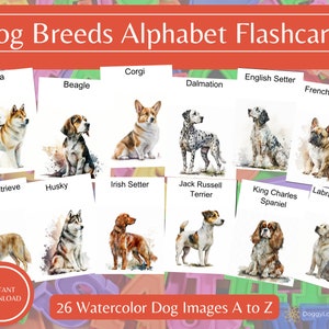 Dog Breeds Flash Cards Letters A to Z Clippable Flashcard Montessori 3 ...