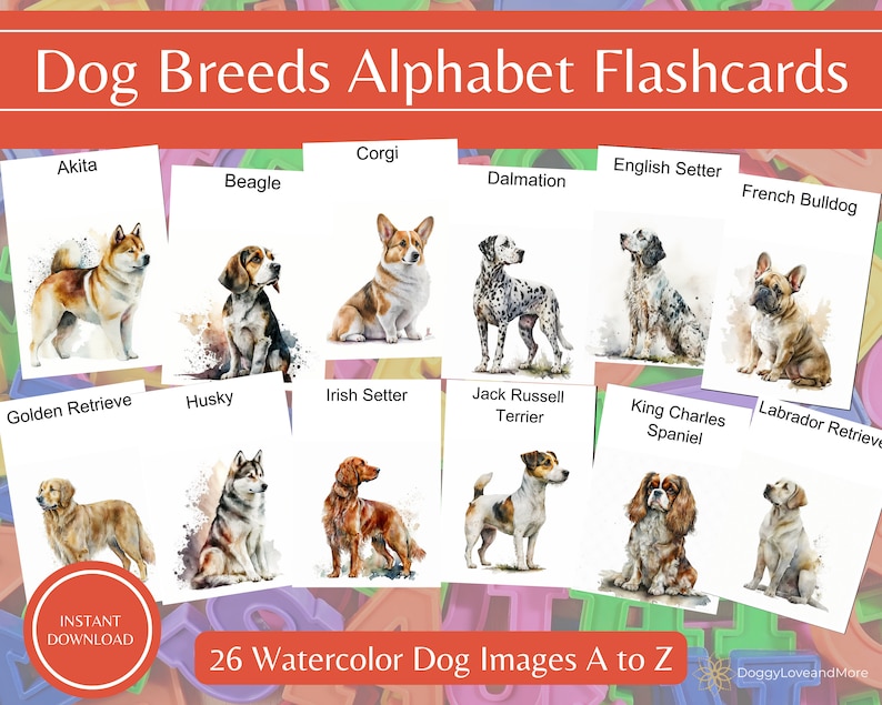 Dog Breeds Flash Cards Letters A to Z Clippable Flashcard Montessori 3 ...