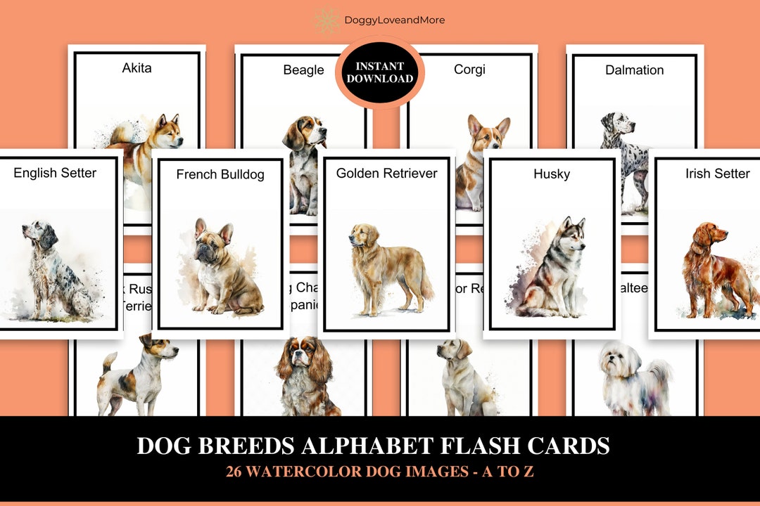 Dog Breeds Flash Cards Letters A to Z Clippable Flashcard Montessori 3 ...