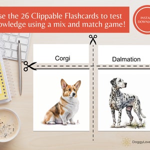 Dog Breeds Flash Cards Letters A to Z Clippable Flashcard Montessori 3 ...