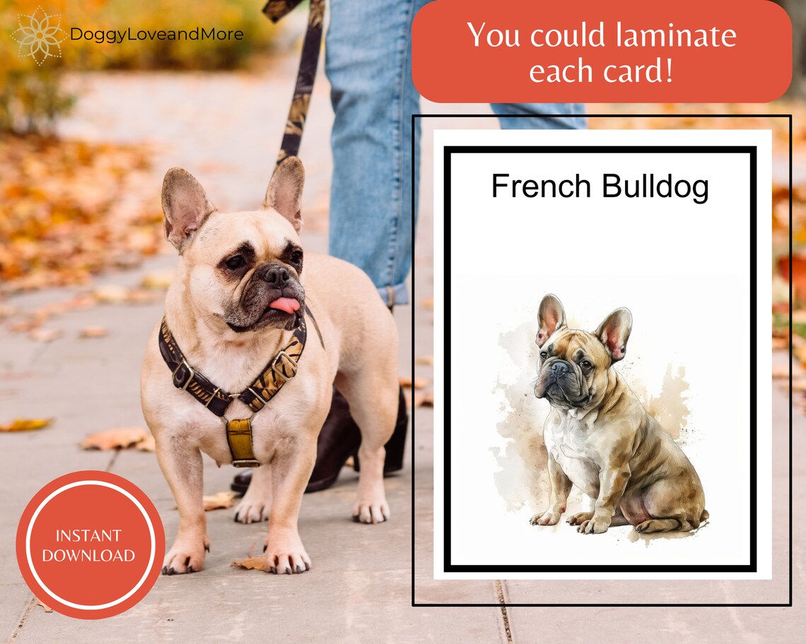 Dog Breeds Flash Cards Letters A to Z Clippable Flashcard - Etsy