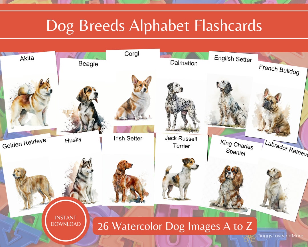 Dog Breeds Alphabet Flash Cards Letters A to Z Clippable Montessori 3 ...