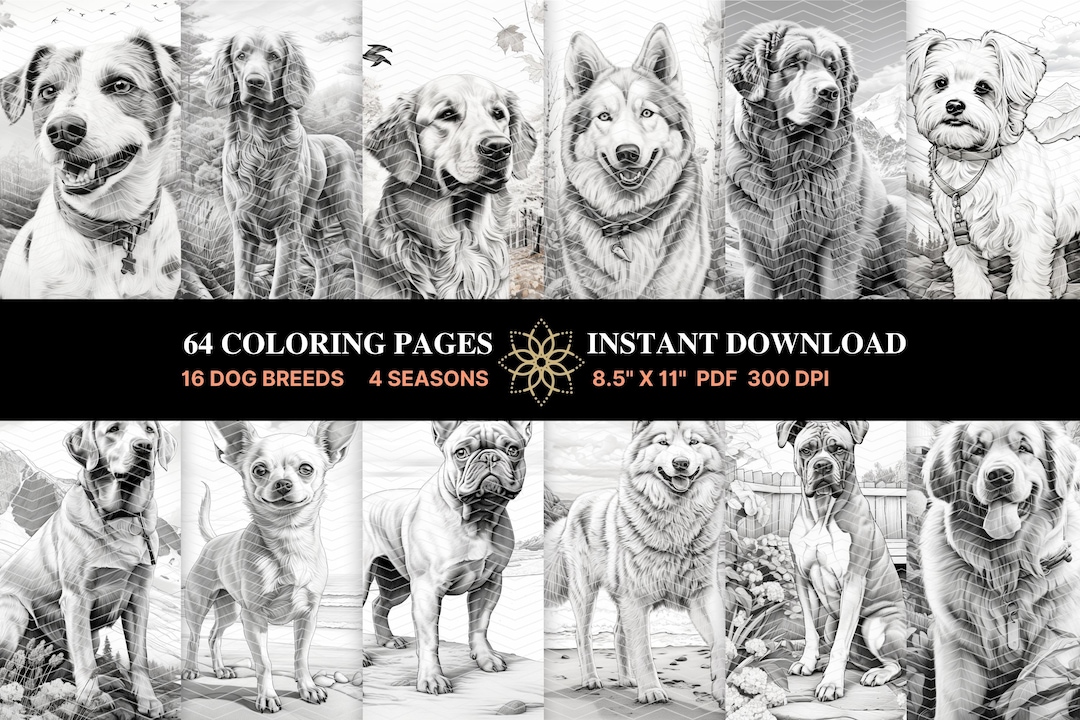 Dog Breeds Coloring Book: 64 Grayscale Pages (PDF) - Etsy