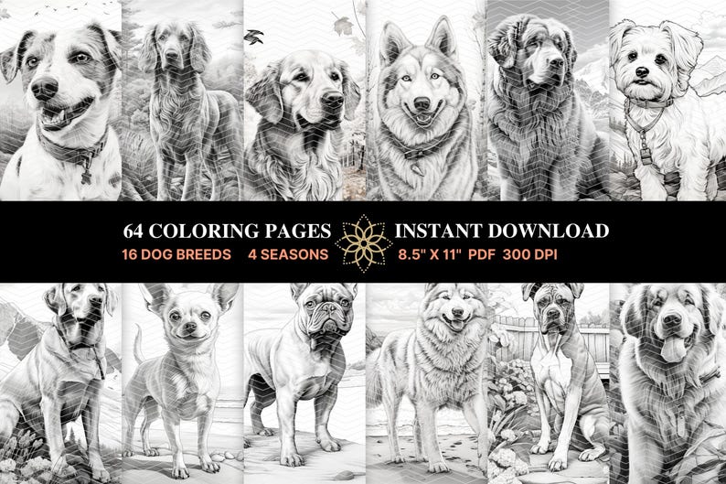 Dog Breeds Coloring Book: 64 Grayscale Pages (PDF) - Etsy