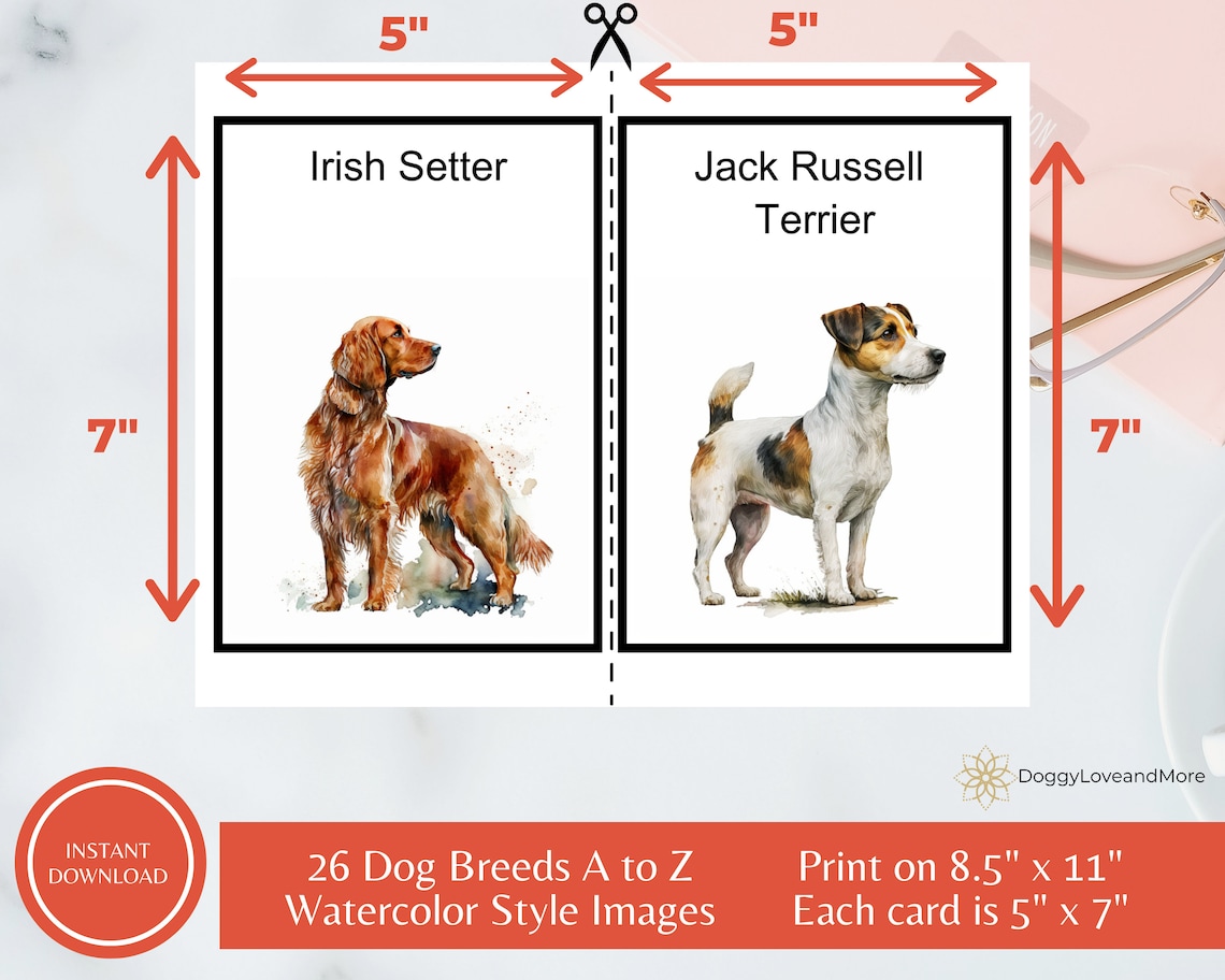 Dog Breeds Flash Cards Letters A to Z Clippable Flashcard - Etsy