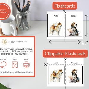 Dog Breeds Flash Cards Letters A to Z Clippable Flashcard Montessori 3 ...