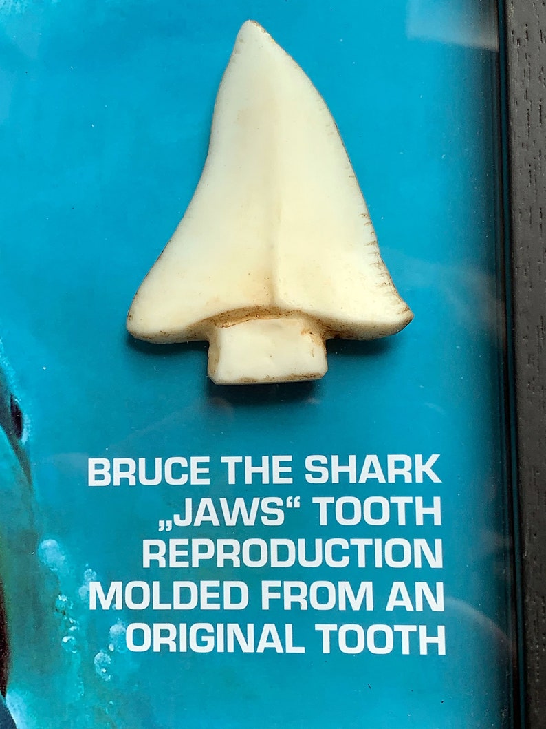 JAWS Jaws Replica of an Original Shark Tooth From the Film in 3D Object ...