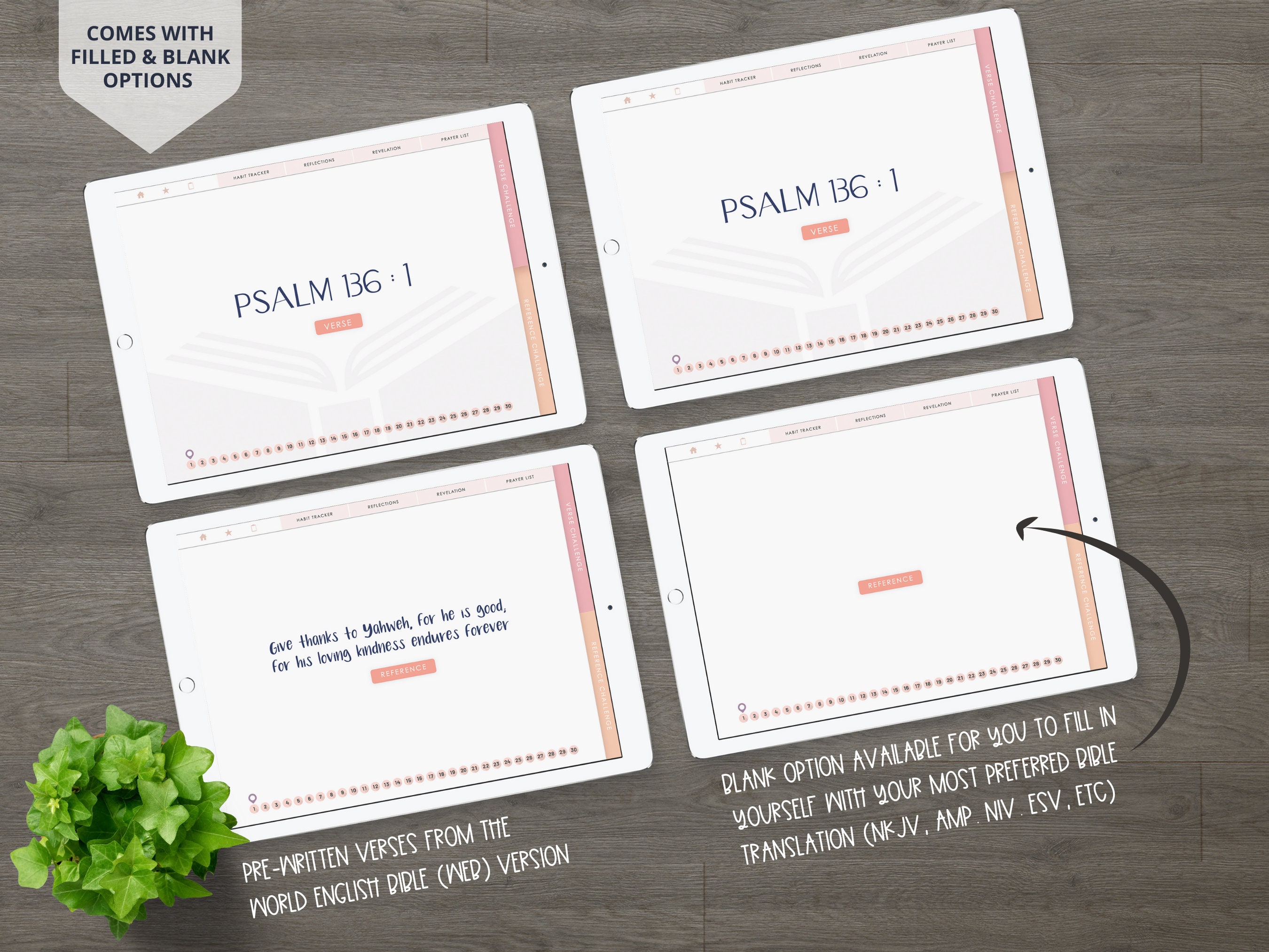 30 Day Memory Verse Challenge LEVEL 1 Digital Scripture - Etsy