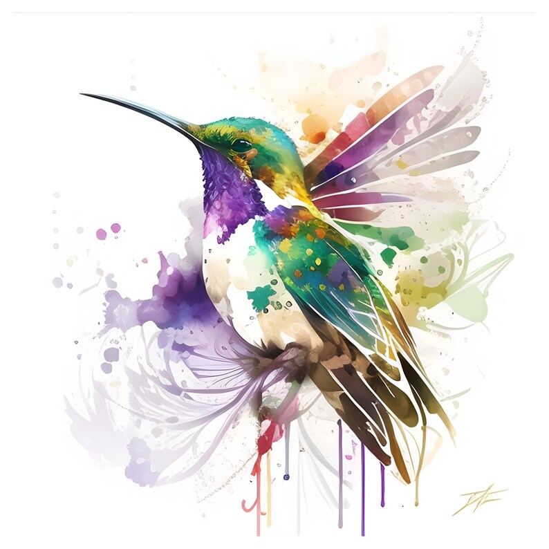 8 Colorful Colibri Digital Images Watercolor Colibri - Etsy