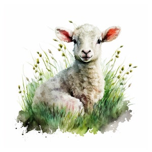 12 Watercolor Lamb Digital Images Free Commercial Use, Lamb Clipart ...