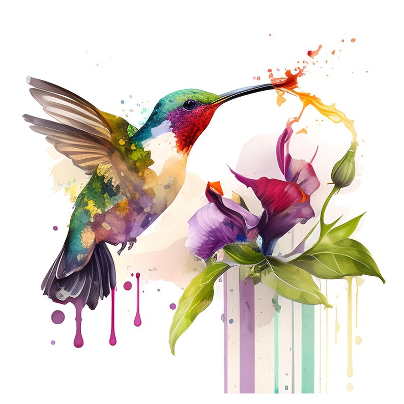 8 Colorful Colibri Digital Images Watercolor Colibri - Etsy
