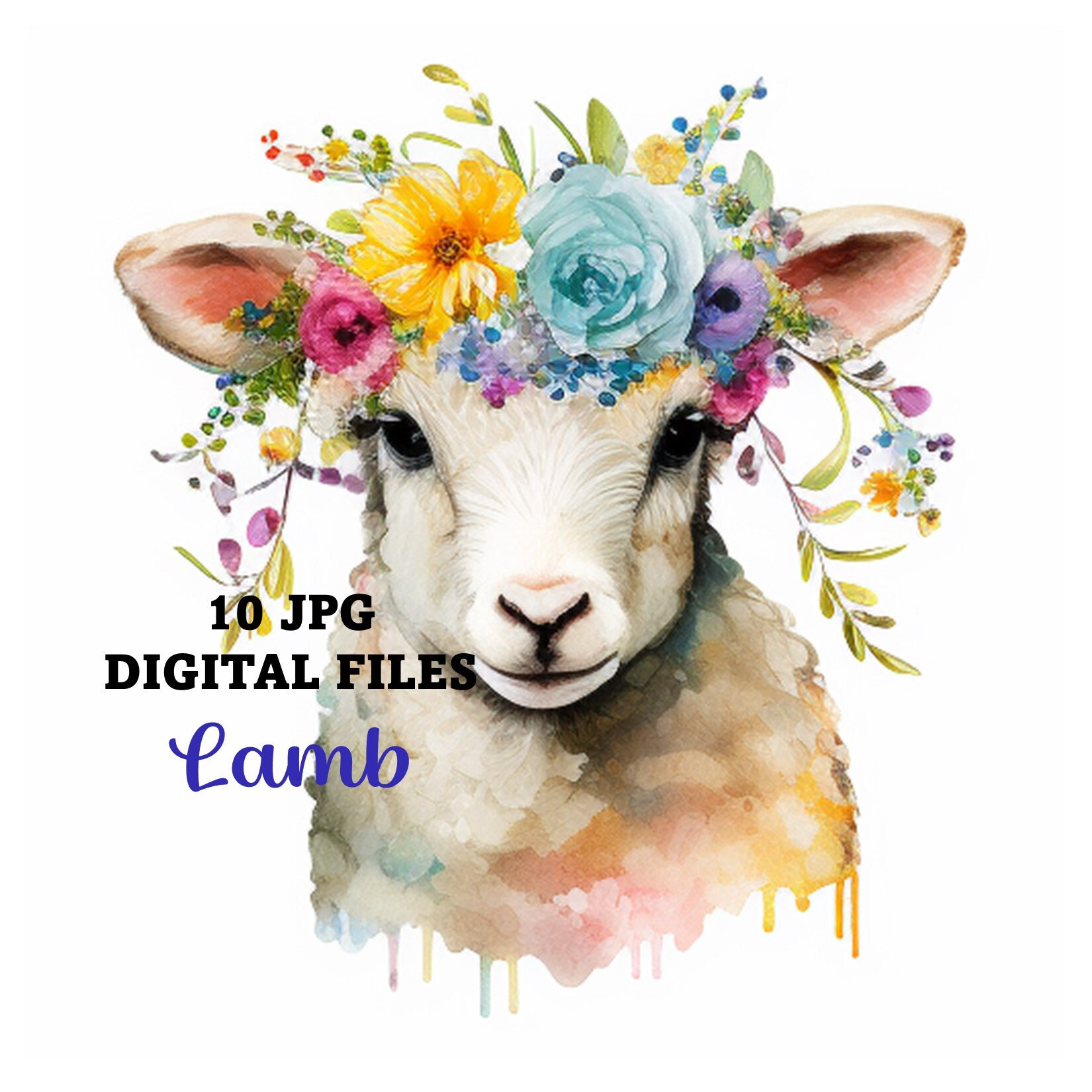 10 Cute Springs Lamb Digital Images, Watercolor Lamb and Flowers ...