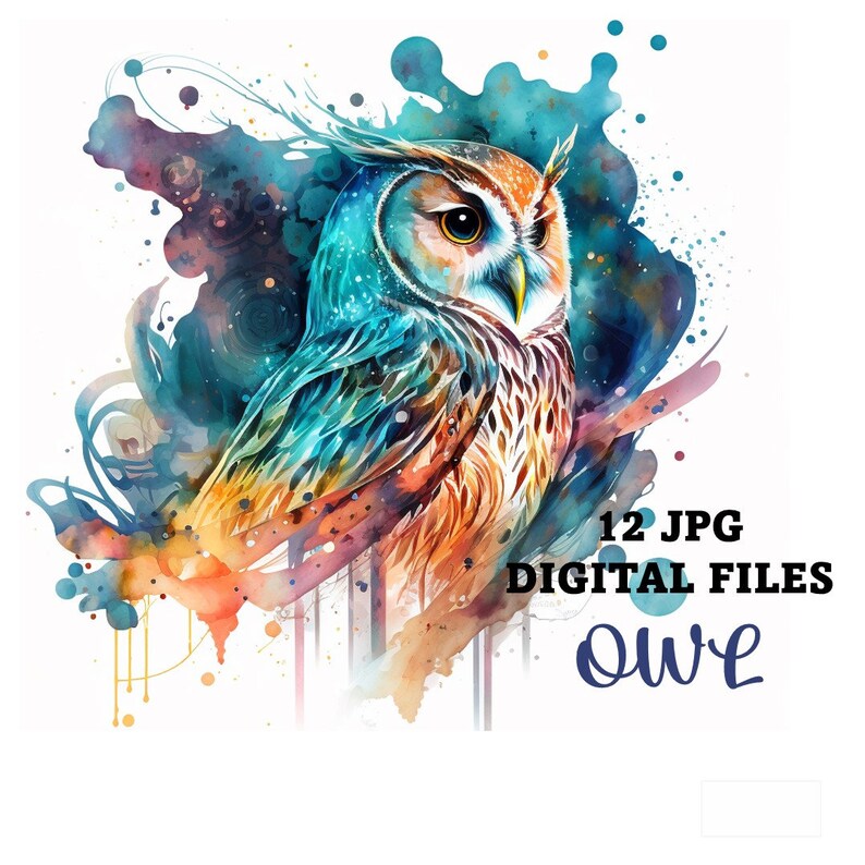 12 Colorful Owl Digital Images for Free Commercial Use, Watercolor Owls ...