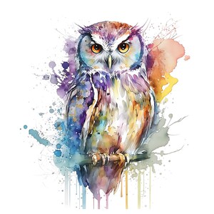 12 Colorful Owl Digital Images for Free Commercial Use, Watercolor Owls ...