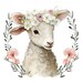 10 Cute Springs Lamb Digital Images, Watercolor Lamb and Flowers ...