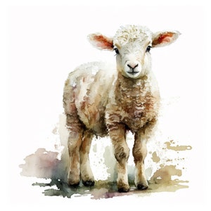 12 Watercolor Lamb Digital Images Free Commercial Use, Lamb Clipart ...