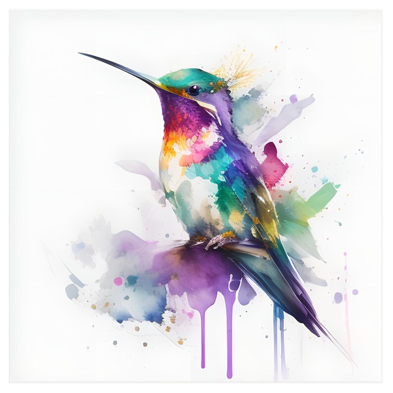 8 Colorful Colibri Digital Images Watercolor Colibri - Etsy