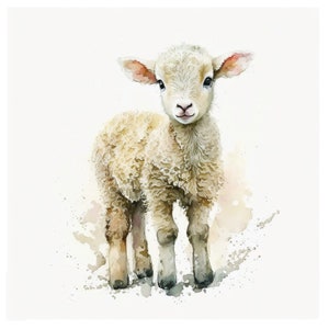 12 Watercolor Lamb Digital Images Free Commercial Use, Lamb Clipart ...