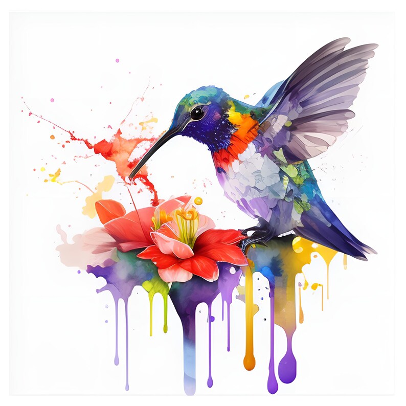 8 Colorful Colibri Digital Images Watercolor Colibri - Etsy