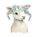 10 Cute Springs Lamb Digital Images, Watercolor Lamb and Flowers ...