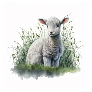 12 Watercolor Lamb Digital Images Free Commercial Use, Lamb Clipart ...