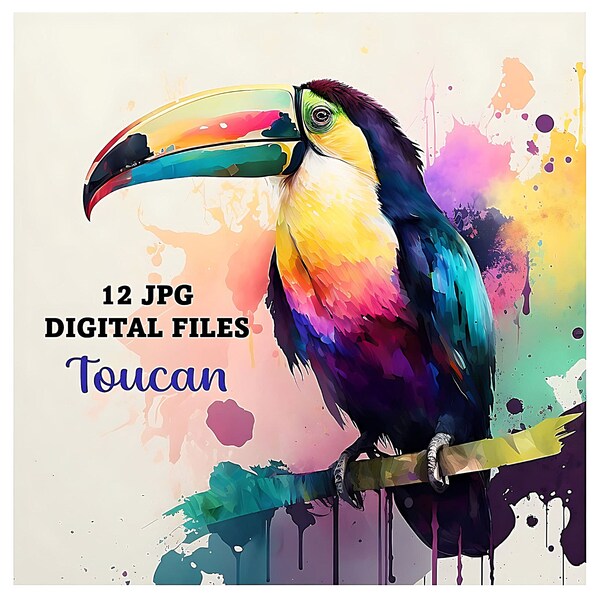 Toucan Clipart - Etsy