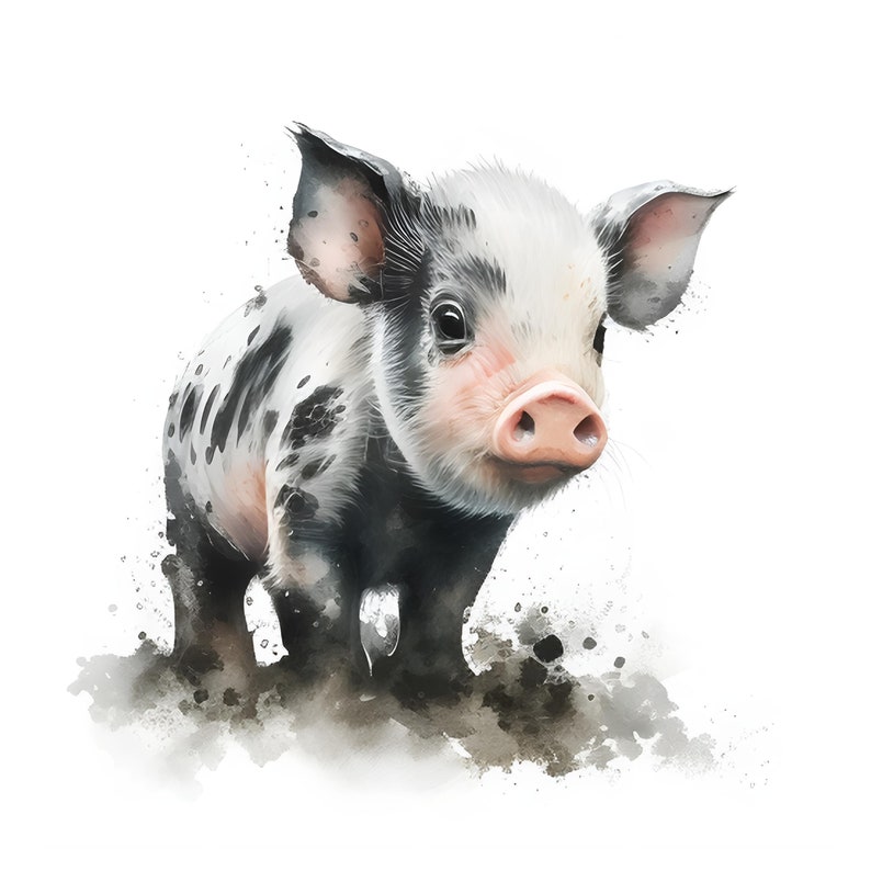 8 Watercolor Cute Pigs Digital Images Pig Clipart Digital - Etsy