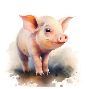 8 Watercolor Cute Pigs Digital Images, Pig Clipart, Digital Download ...