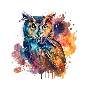 12 Colorful Owl Digital Images for Free Commercial Use, Watercolor Owls ...