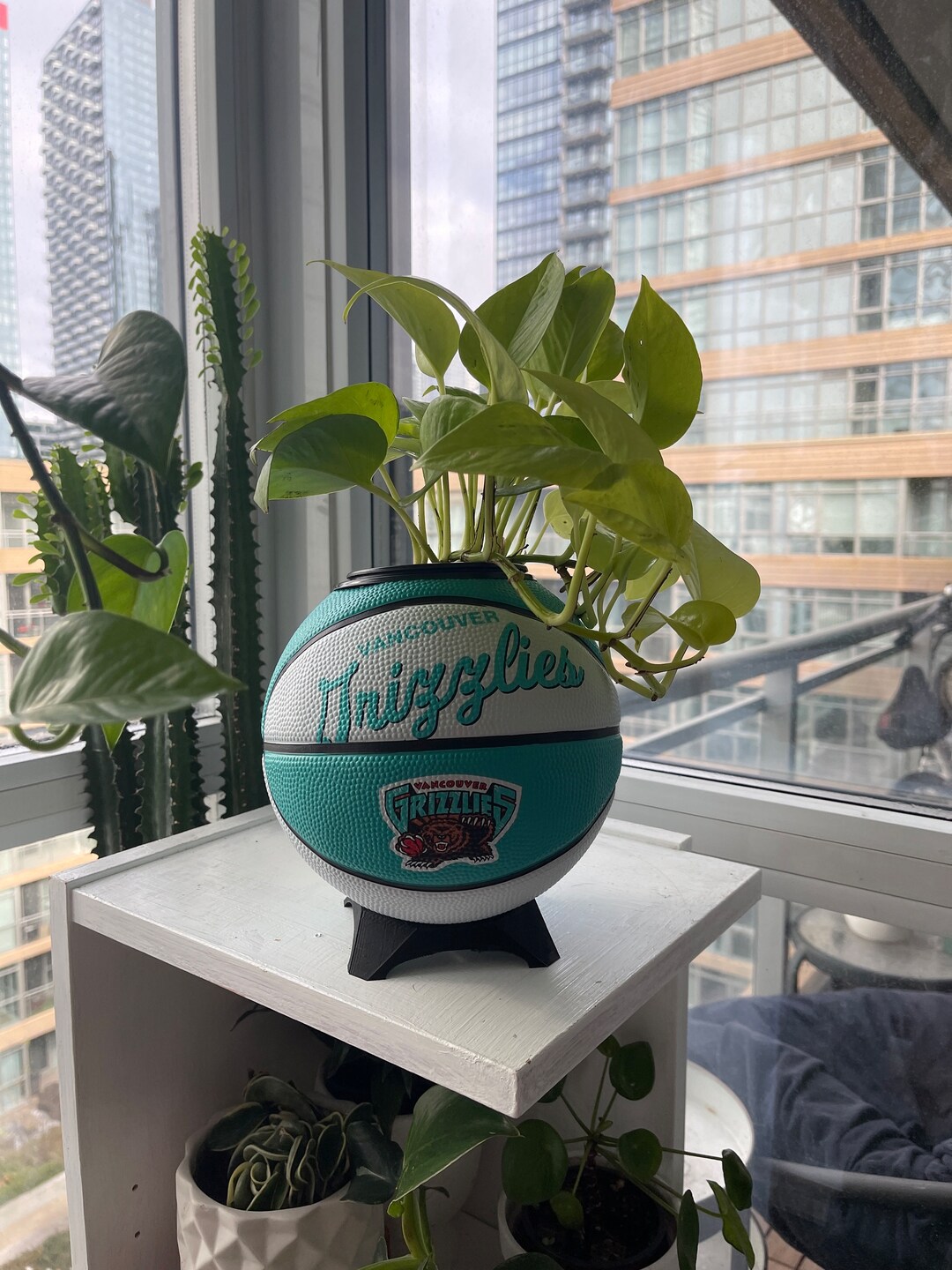 Mini Basketball Planter (vancouver Grizzlies) - Etsy